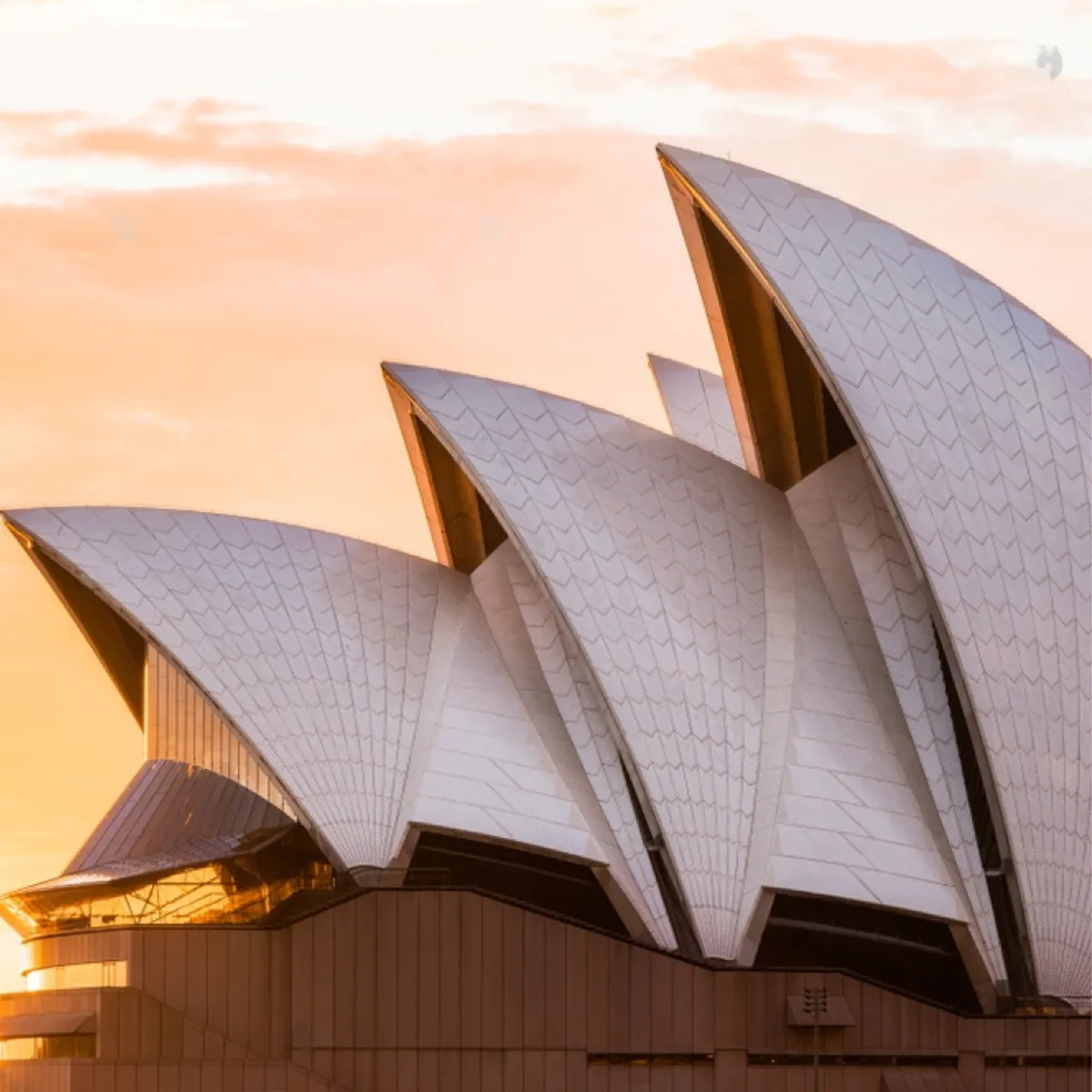 Le Tour du Monde Grands Classiques 2025 - Safrans Du Monde