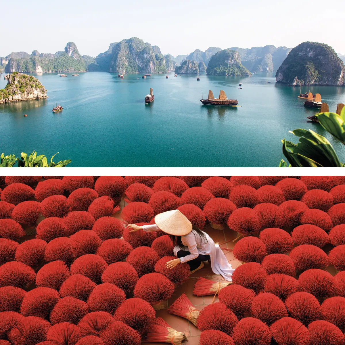 Le Tour du Monde Grands Classiques 2025 - Safrans Du Monde