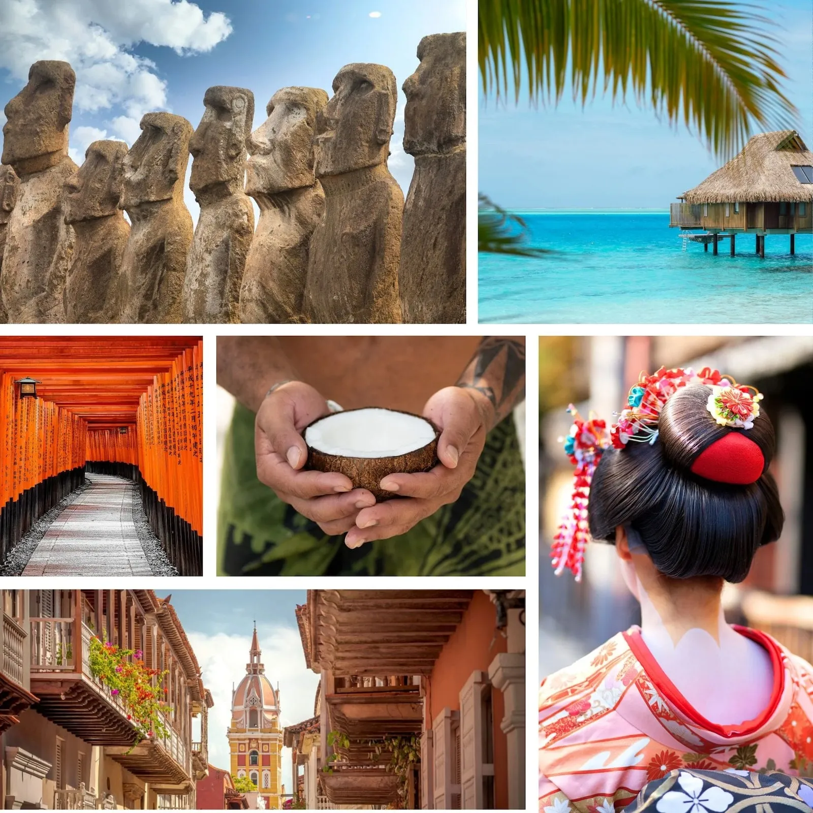 The World Tour Special Edition 2025 - Safrans du Monde